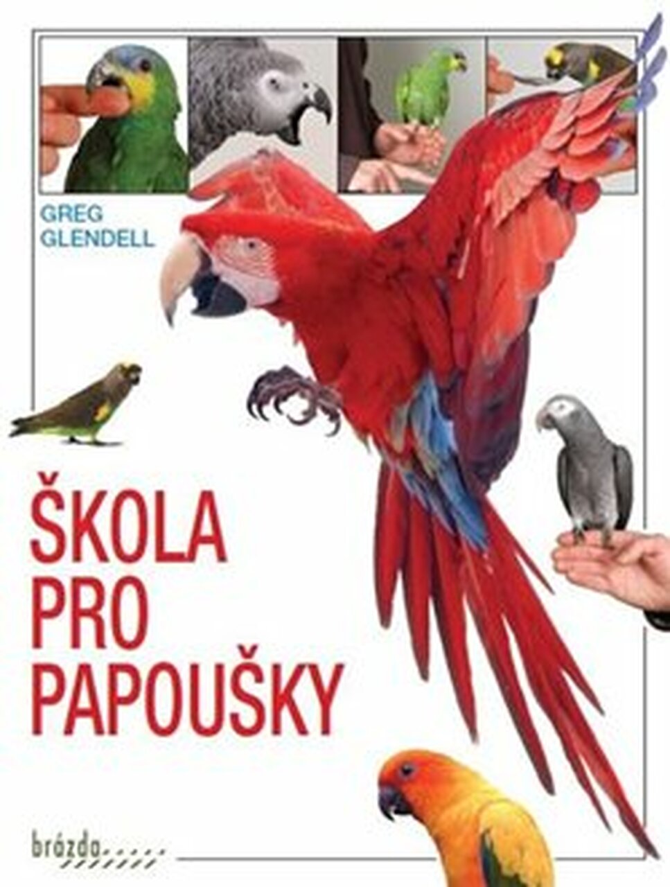 Tištěná kniha Škola pro papoušky - Greg Glendell | Svaz českých ...